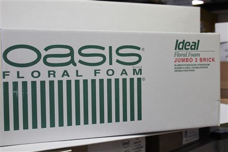 Oasis Bricks